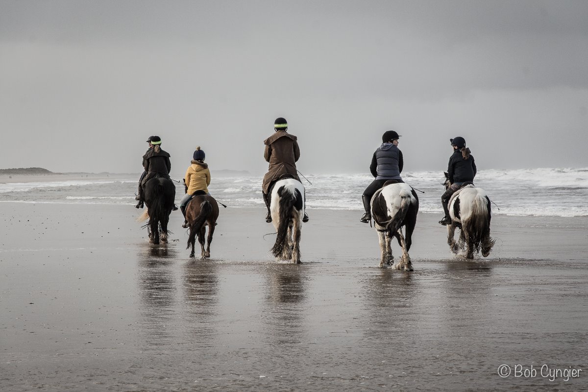 Beach Rides - Hot to Trot School of Equitation