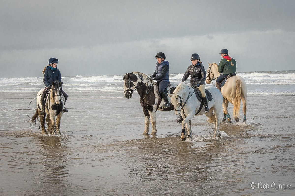 Beach Rides - Hot to Trot School of Equitation